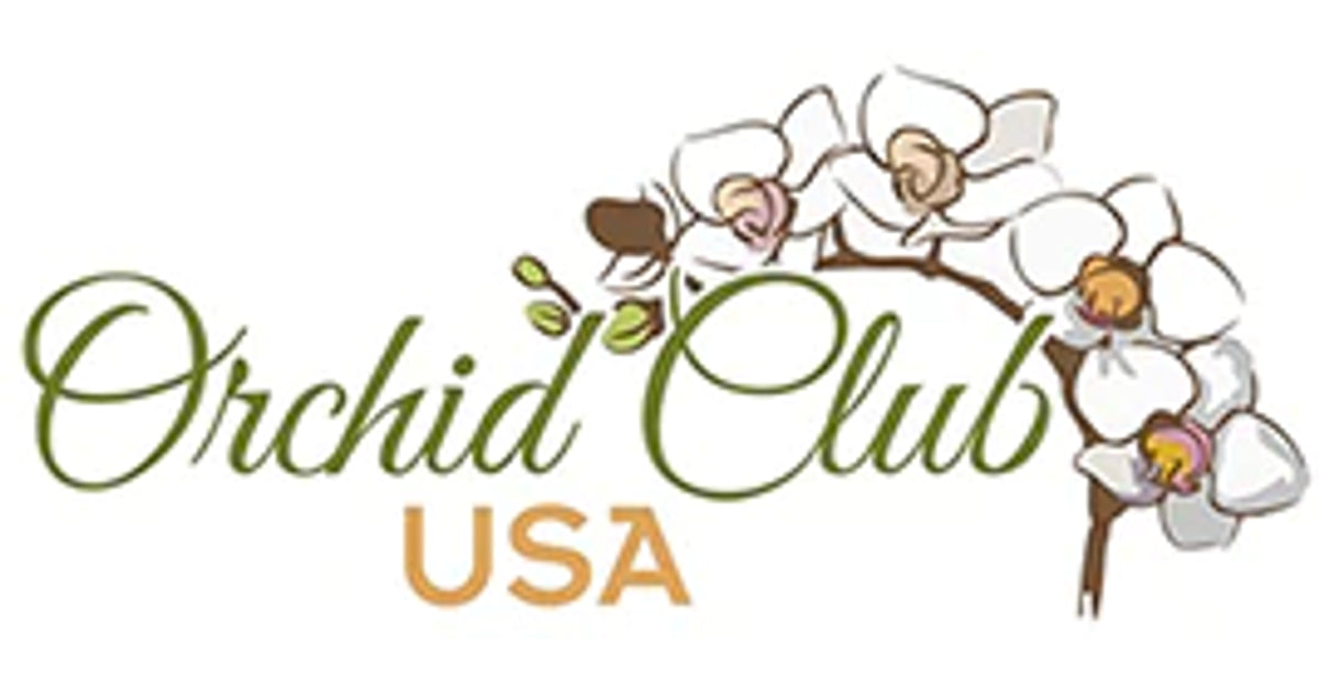 Sunne Tropical - Orchid Club USA – OrchidClubUSA.com